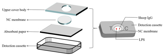 Biosensors | An Open Access Journal from MDPI