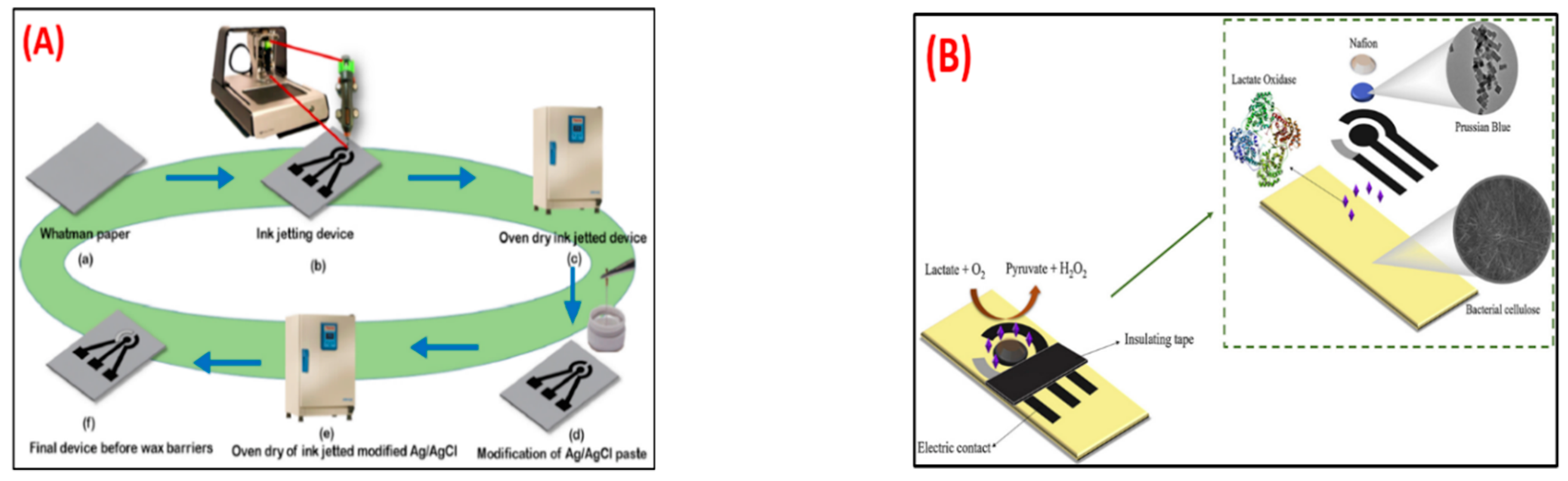 Biosensors | Free Full-Text | Biosensors and Microfluidic Biosensors ...