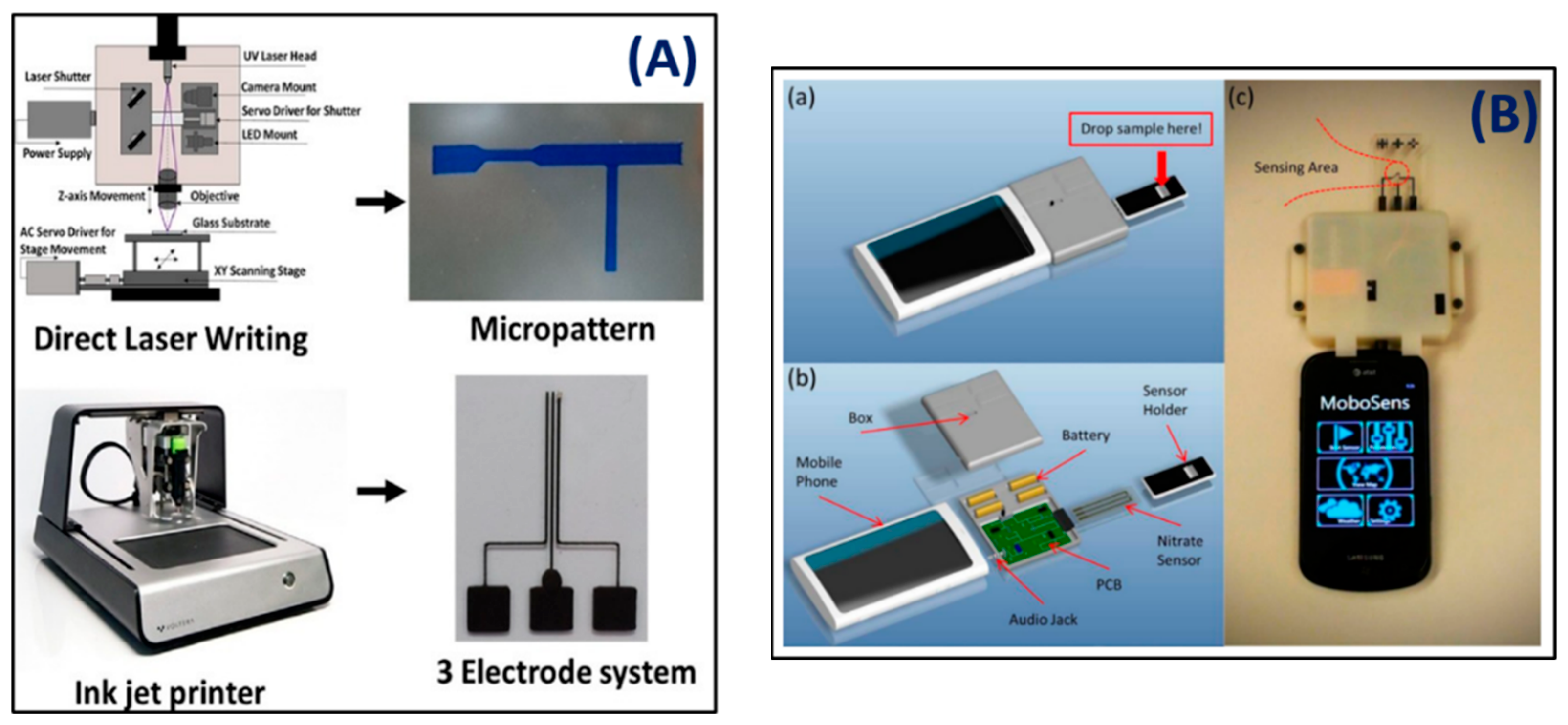 Biosensors | Free Full-Text | Biosensors and Microfluidic Biosensors ...