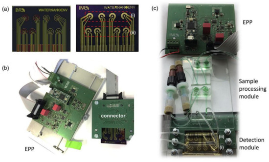 Recent Advancements in Electrochemical Biosensors for Monitoring the ...