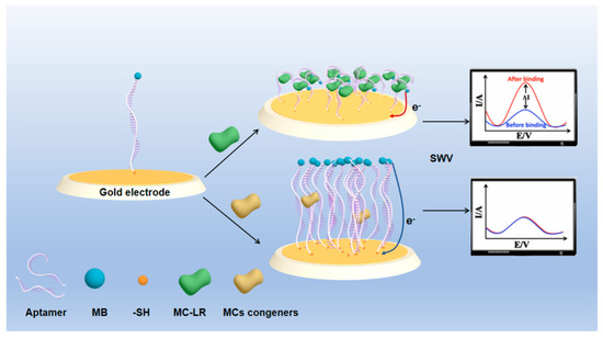 Biosensors | An Open Access Journal from MDPI