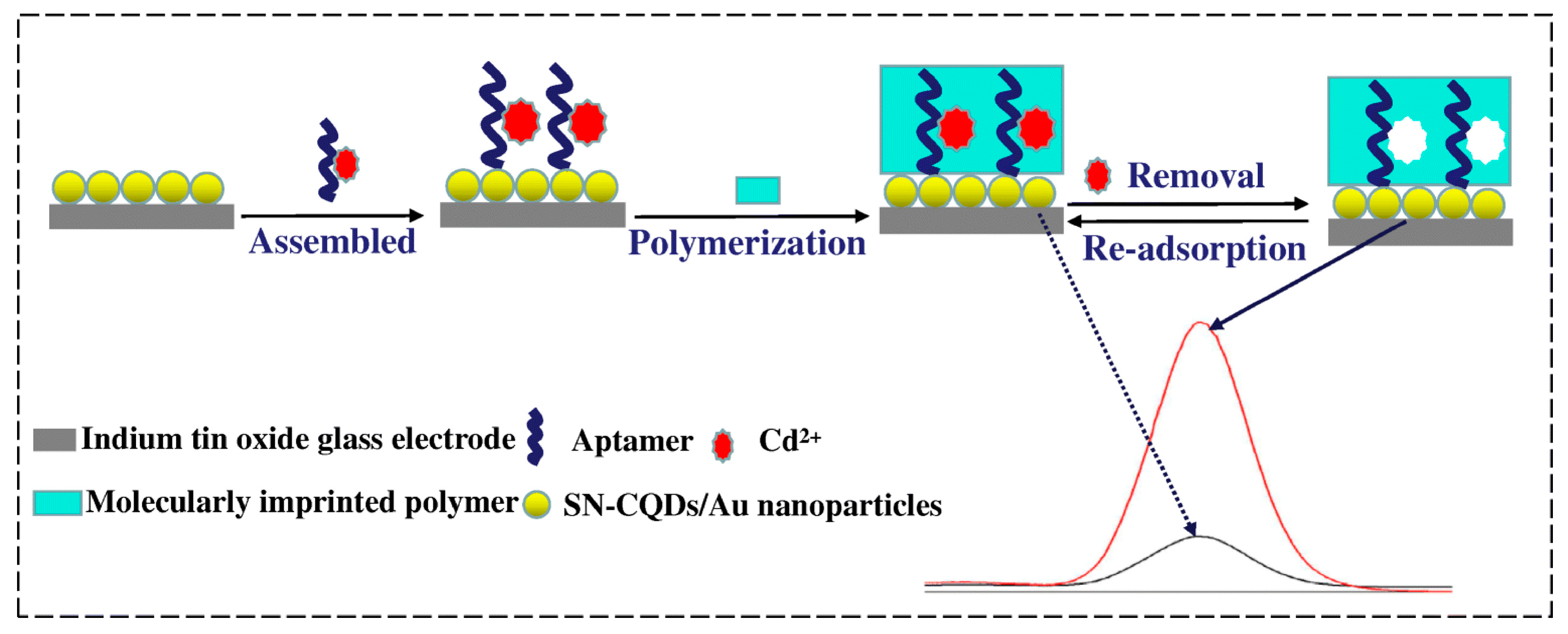 Molecularly Imprinting–Aptamer Techniques and Their Applications in ...