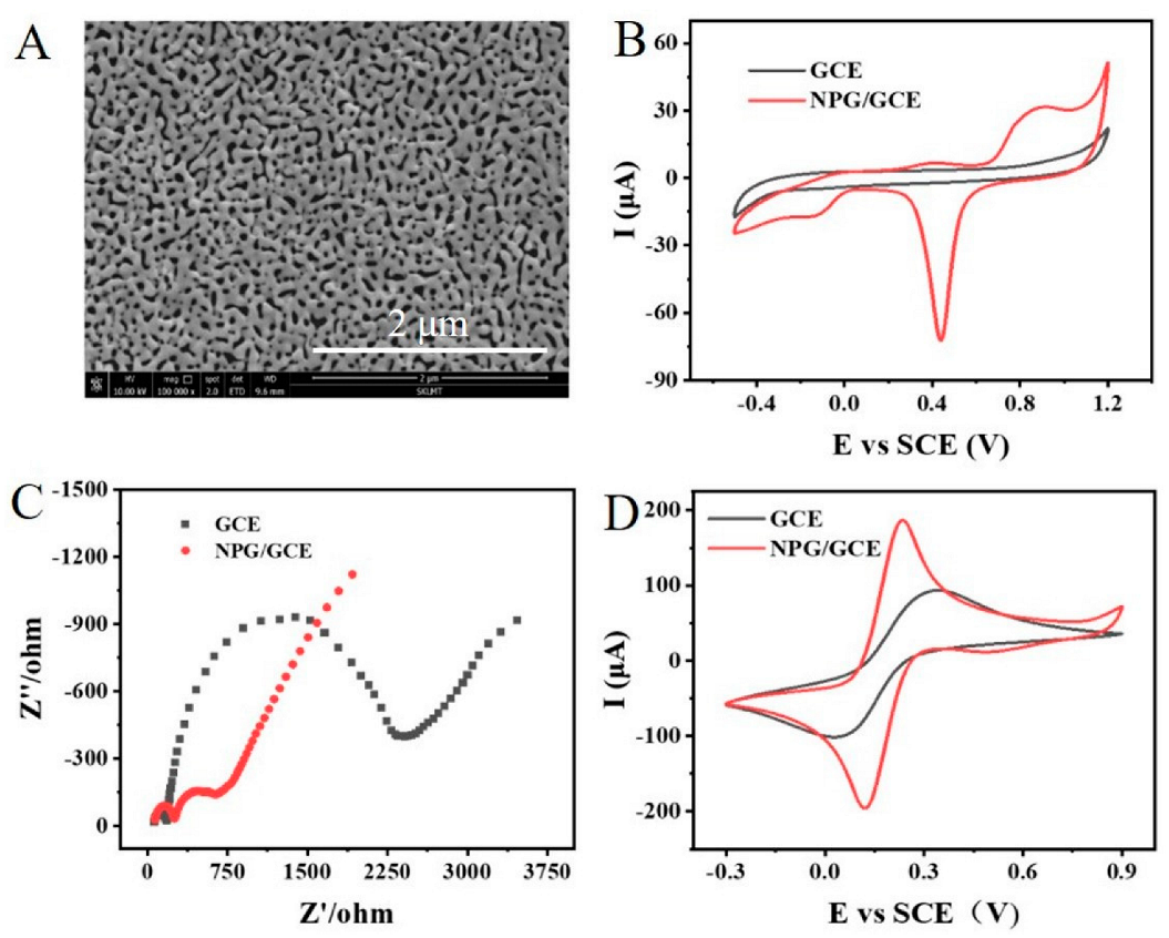 Sensitivity Detection of Uric Acid and Creatinine in Human Urine Based ...