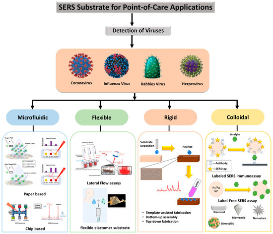 Biosensors | Free Full-Text | Miniaturized Raman Instruments for SERS ...