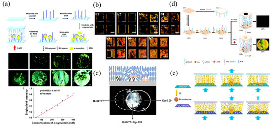 Biosensors | Free Full-Text | Liquid Crystal Biosensors: Principles, Structure and Applications