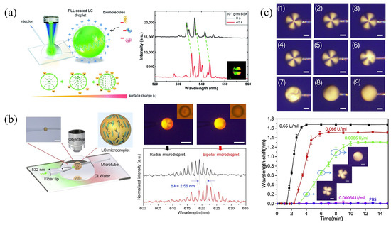 Biosensors | Free Full-Text | Liquid Crystal Biosensors: Principles, Structure and Applications