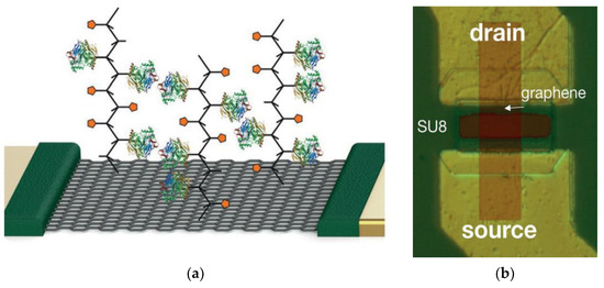 Advancement and Challenges of Biosensing Using Field Effect Transistors