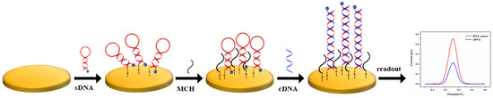 Sensitive Electrochemical Biosensor for Rapid Screening of Tumor ...