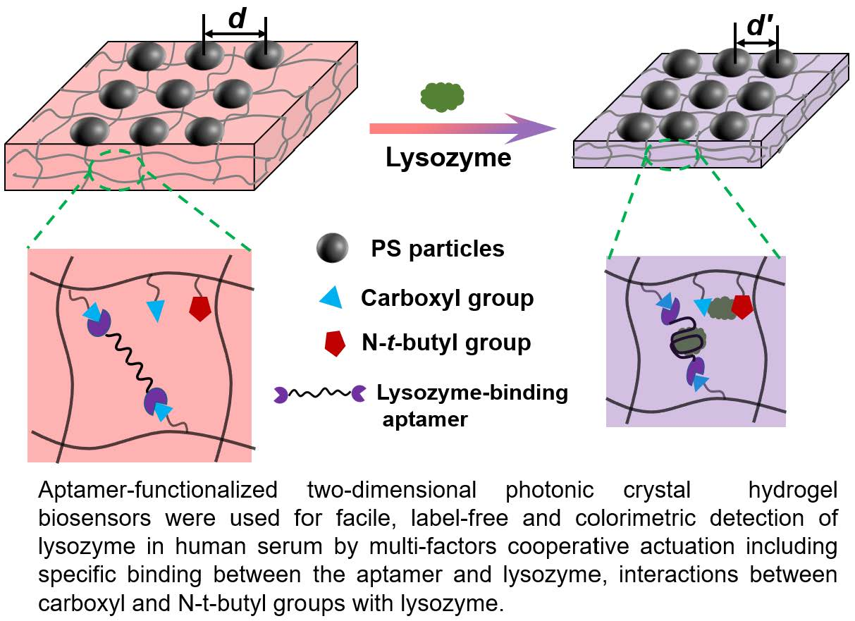 Biosensors | Free Full-Text | Multi-Factors Cooperatively Actuated ...