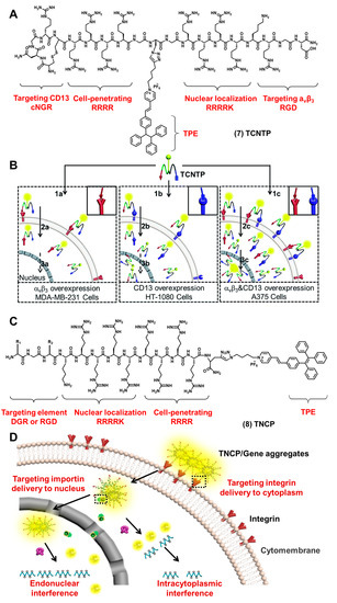Biosensors | Free Full-Text | AIEgen-Peptide Bioprobes for the Imaging ...