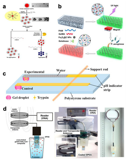 Applications of Gelatin in Biosensors: Recent Trends and Progress