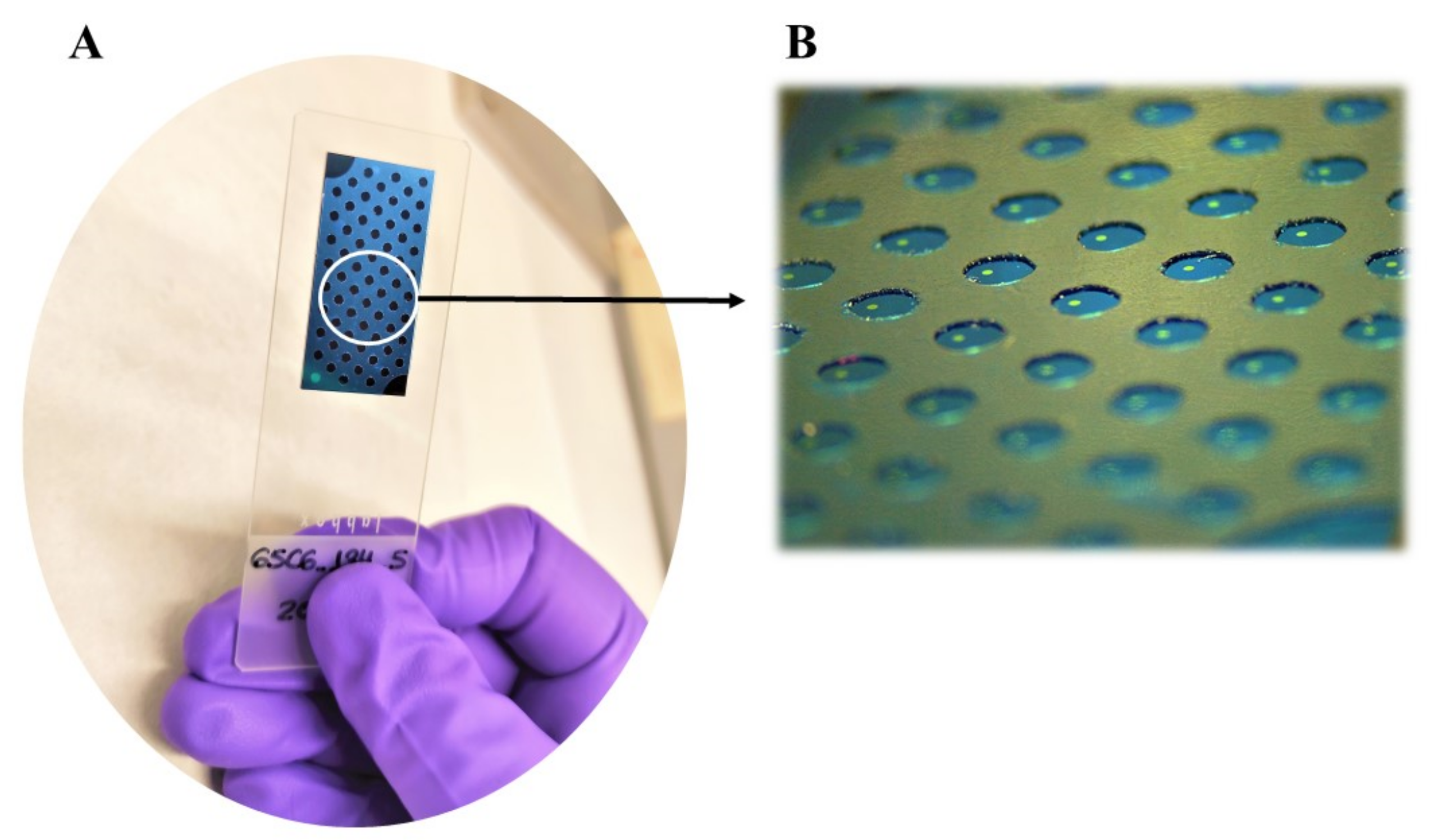 Integration of Multiple Interferometers in Highly Multiplexed ...