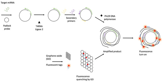 Isothermal Amplification Technology for Disease Diagnosis