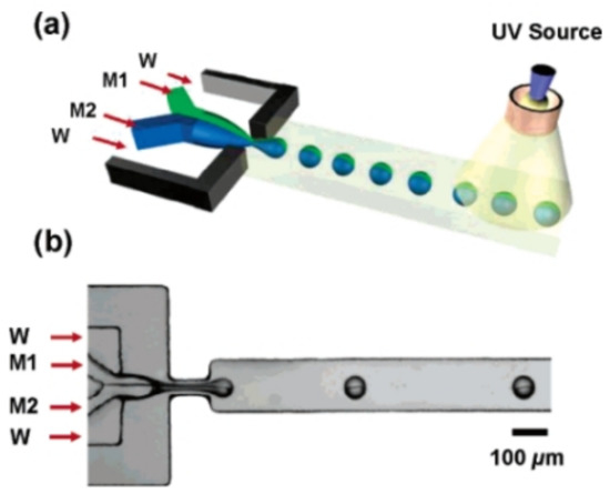 Biosensors | Free Full-Text | Application of Janus Particles in Point ...