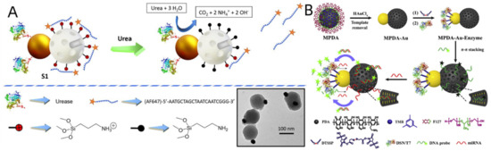 Biosensors | Free Full-Text | Application of Janus Particles in Point ...