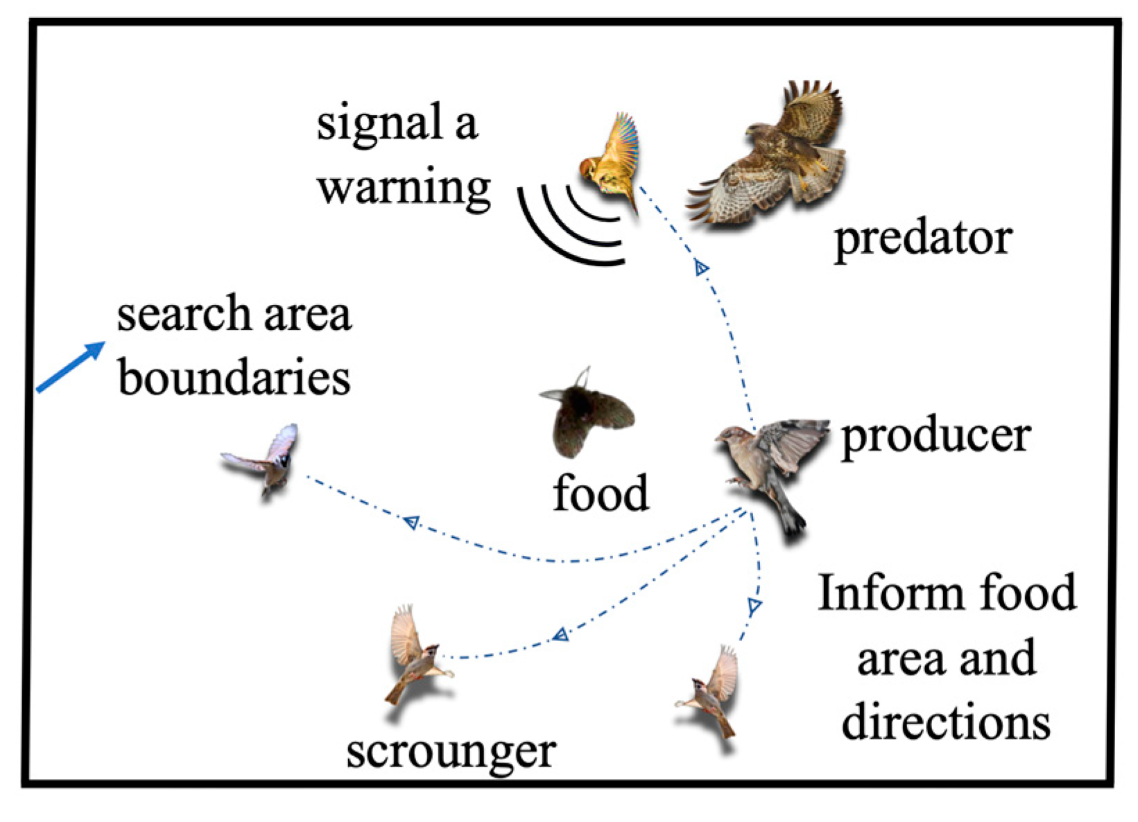 An Apple Fungal Infection Detection Model Based on BPNN Optimized by ...