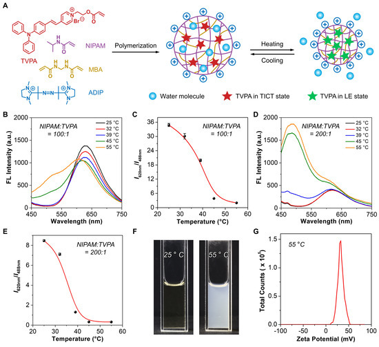 A Ratiometric Organic Fluorescent Nanogel Thermometer for Highly ...