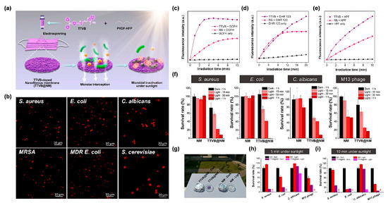 Type I Photosensitizers Based on Aggregation-Induced Emission: A Rising ...