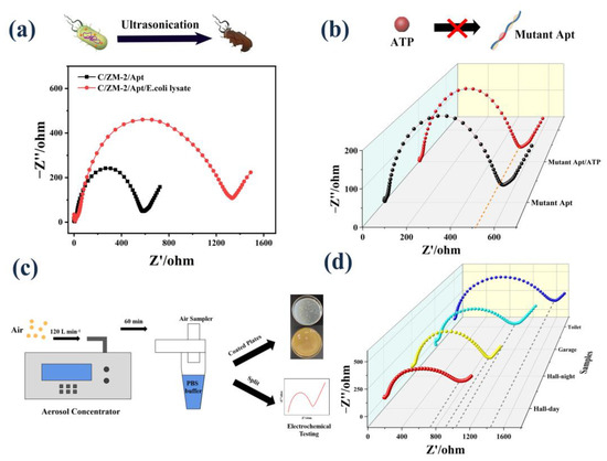 An Electrochemical Aptasensor Integrating Zeolitic Imidazolate ...