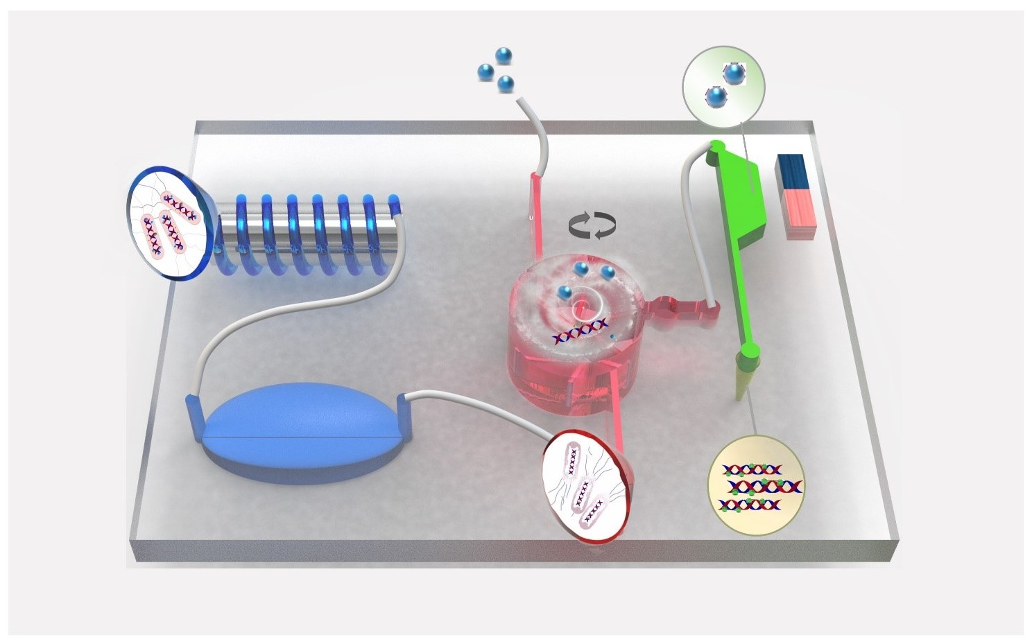 Biosensors | Free Full-Text | A Salmonella Microfluidic Chip Combining ...
