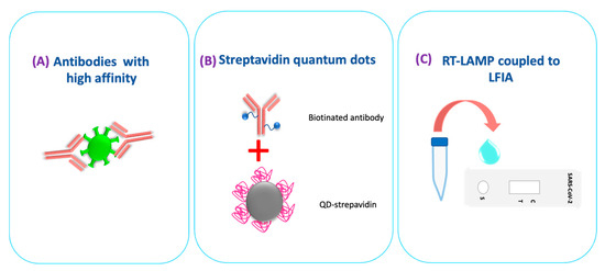 Challenges in the Detection of SARS-CoV-2: Evolution of the Lateral ...