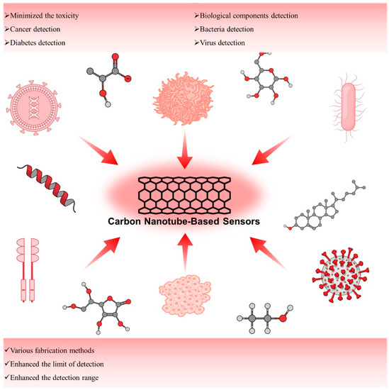 Biosensors Free Full Text Carbon Nanotube And Its Derived
