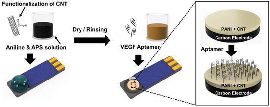Biosensors | Free Full-Text | Carbon Nanotube and Its Derived ...