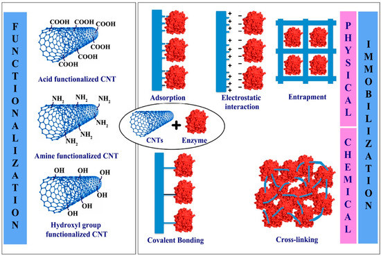 Biosensors | Free Full-Text | Carbon Nanotube and Its Derived ...
