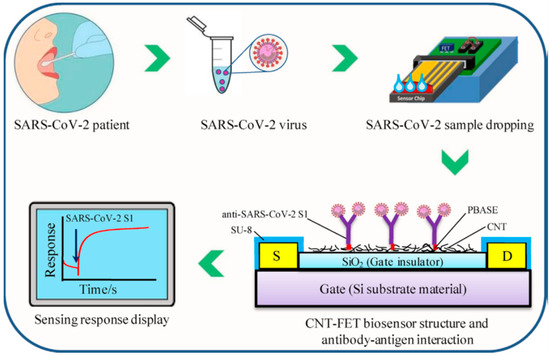 Biosensors | Free Full-Text | Carbon Nanotube and Its Derived ...