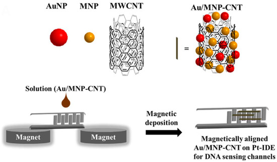 Biosensors | Free Full-Text | Carbon Nanotube and Its Derived ...