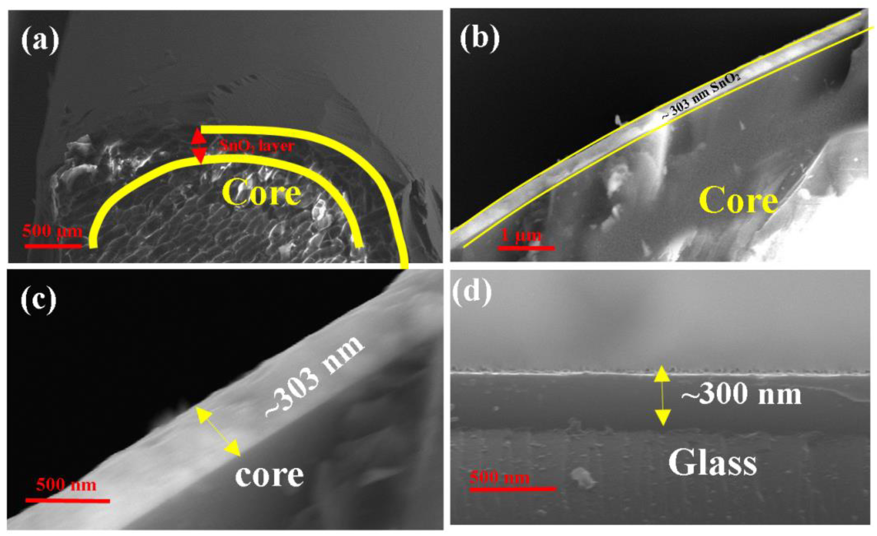 Biosensors | Free Full-Text | A Bilayer SnO2/MoS2-Coated Evanescent Wave Fiber Optic Sensor for ...
