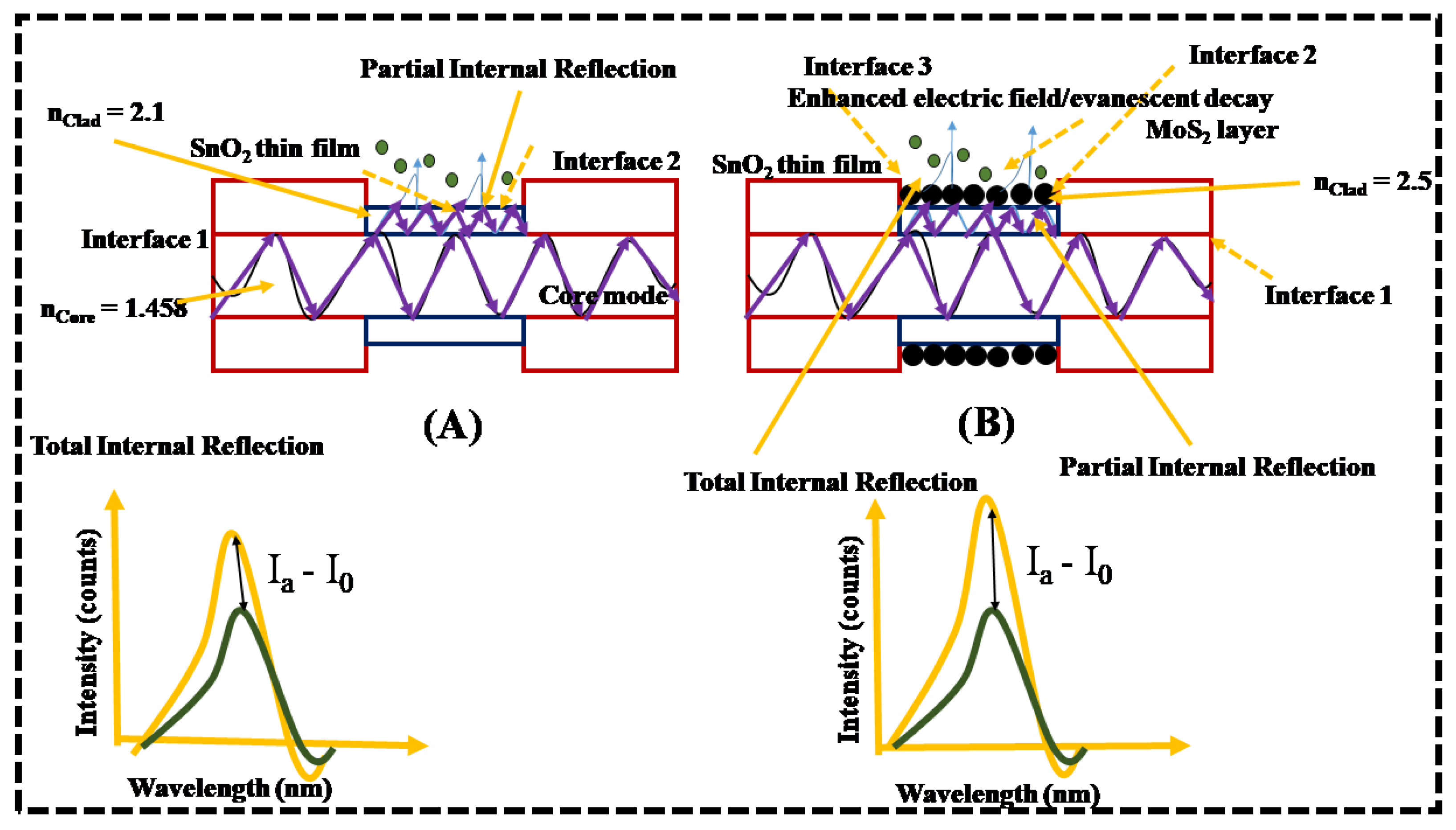 Biosensors | Free Full-Text | A Bilayer SnO2/MoS2-Coated Evanescent Wave Fiber Optic Sensor for ...
