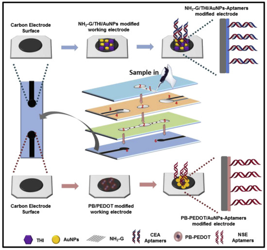 Role of Paper-Based Sensors in Fight against Cancer for the Developing ...