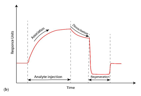 Biomedical Applications of an Ultra-Sensitive Surface Plasmon Resonance Biosensor Based on Smart ...