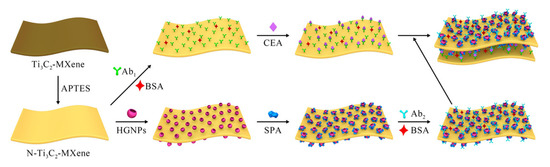 Biomedical Applications of an Ultra-Sensitive Surface Plasmon Resonance Biosensor Based on Smart ...