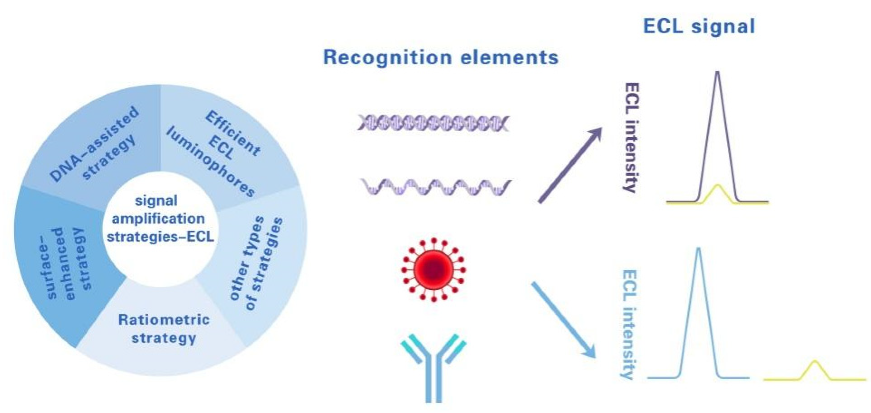 Strategies for Enhancing the Sensitivity of Electrochemiluminescence ...