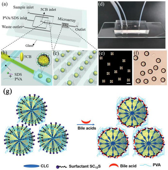 Liquid Crystal Droplet-Based Biosensors: Promising for Point-of-Care ...