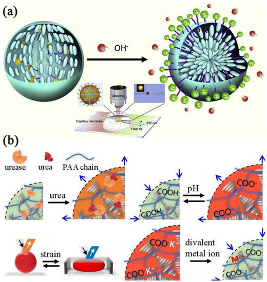 Liquid Crystal Droplet-Based Biosensors: Promising for Point-of-Care ...