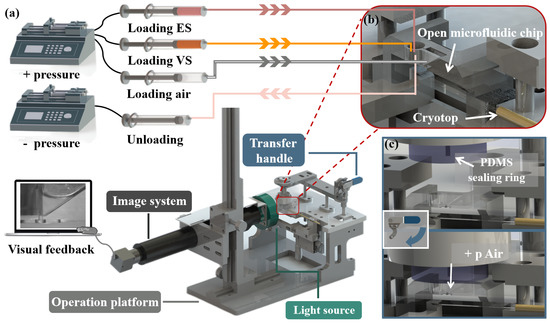 Biosensors | Free Full-Text | Development of an Open Microfluidic ...