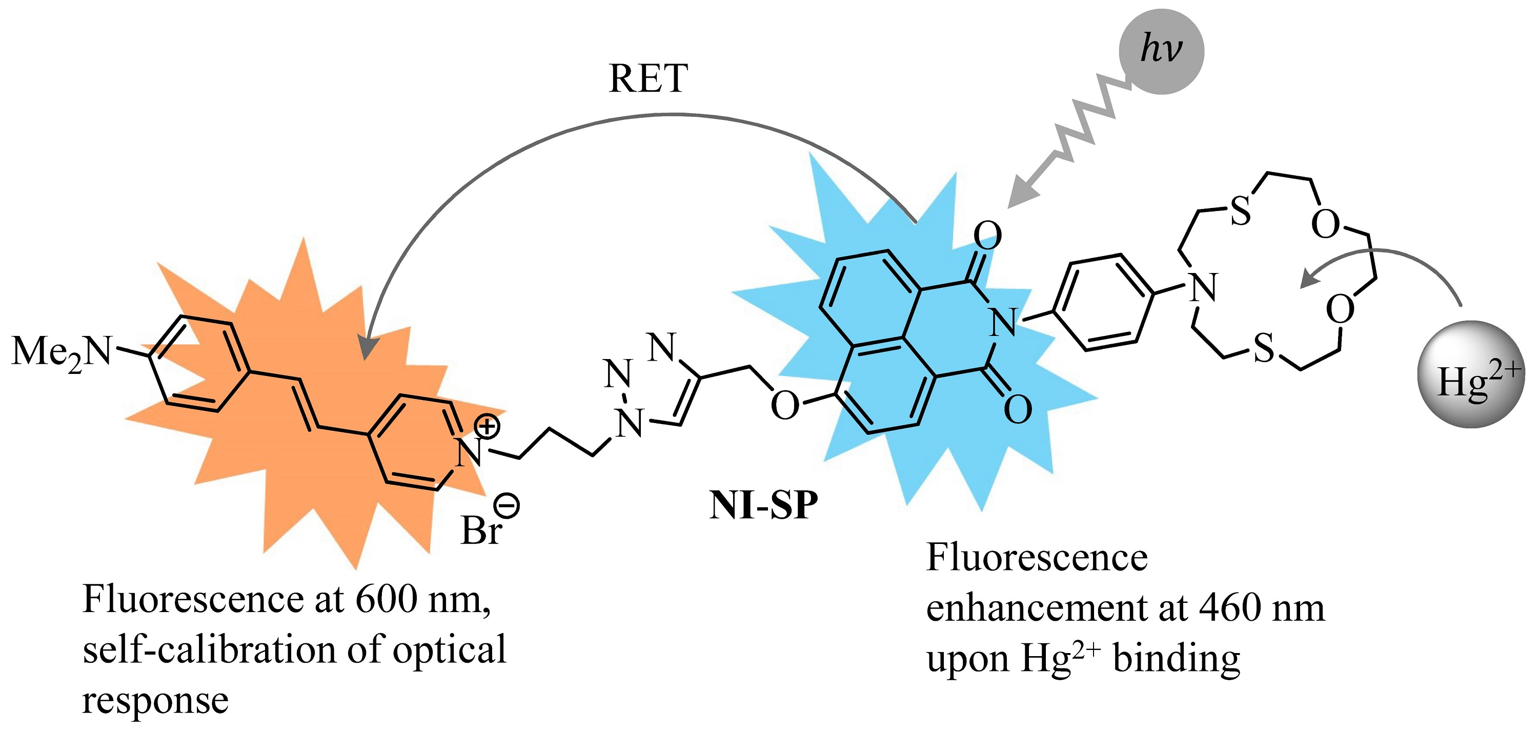 Biosensors | Free Full-Text | Fluorescent RET-Based Chemosensor Bearing 1,8-Naphthalimide and ...