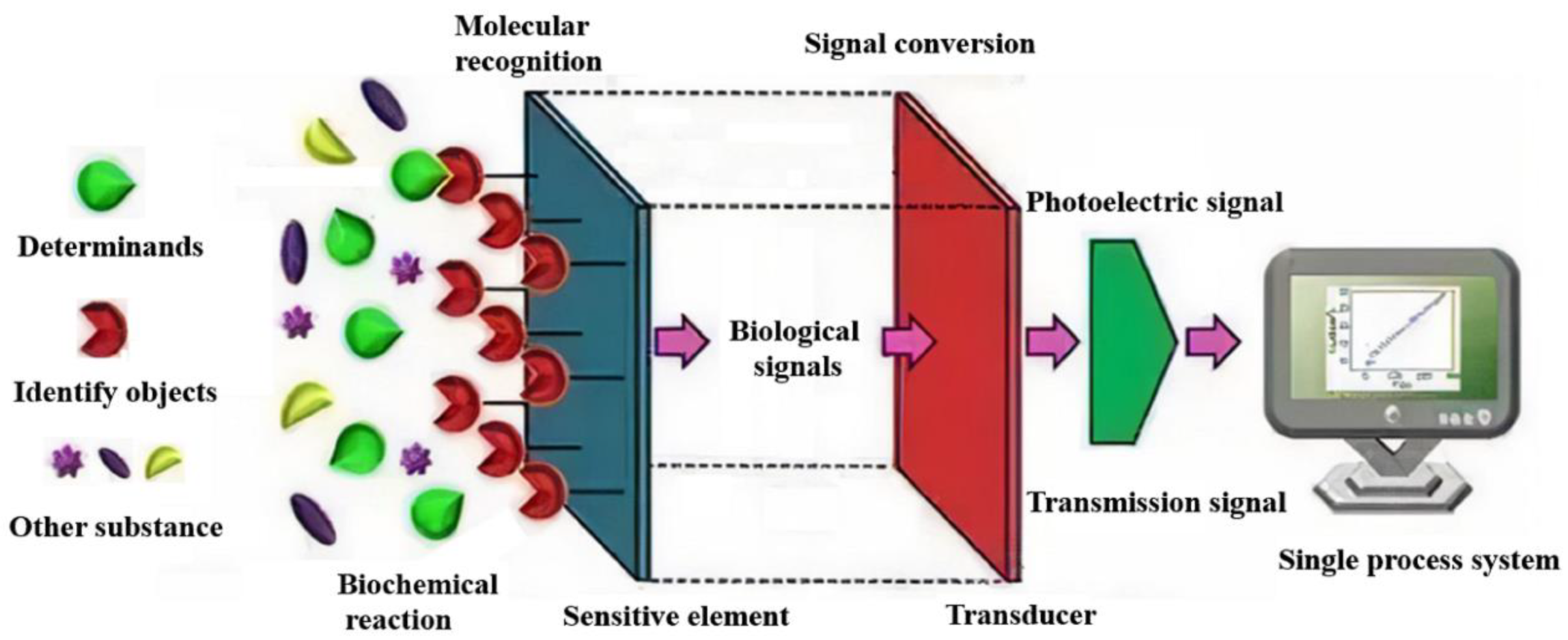 Sensors Based on the Carbon Nanotube Field-Effect Transistors for Chemical and Biological Analyses