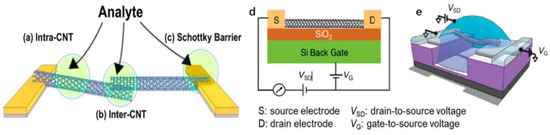 Sensors Based on the Carbon Nanotube Field-Effect Transistors for ...