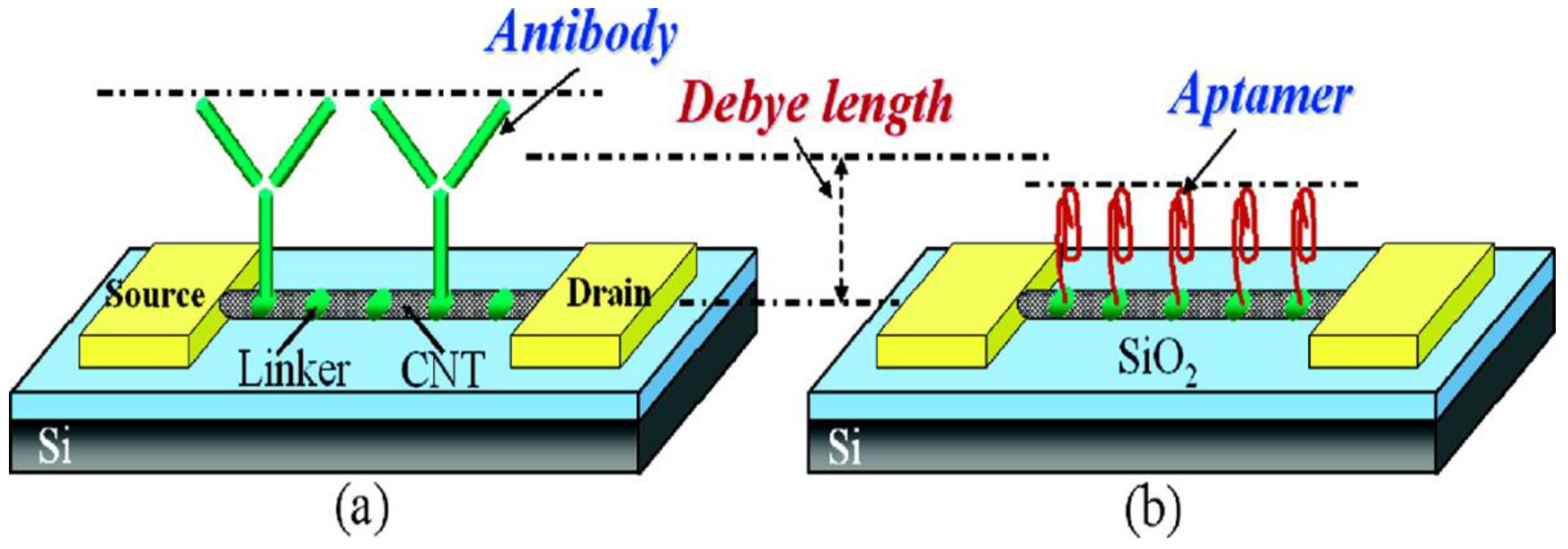 Sensors Based on the Carbon Nanotube Field-Effect Transistors for ...