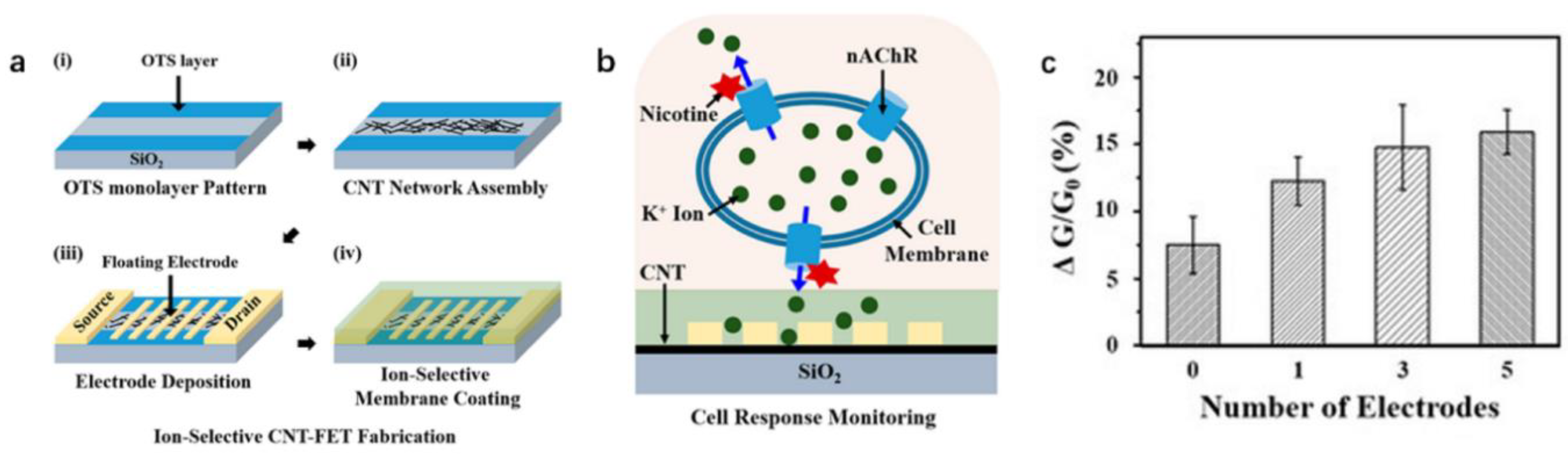 Sensors Based on the Carbon Nanotube Field-Effect Transistors for ...