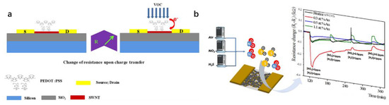 Sensors Based on the Carbon Nanotube Field-Effect Transistors for ...