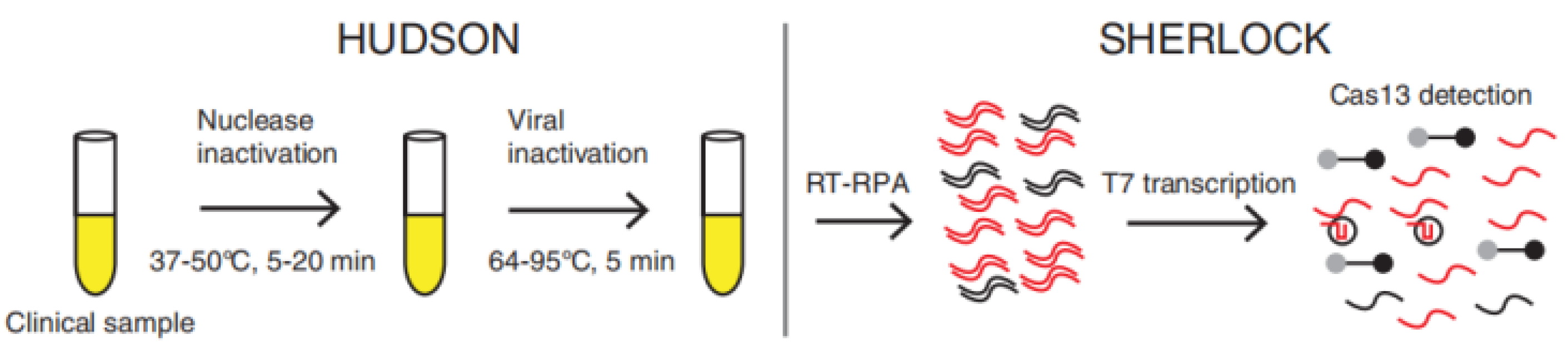 Fluorescence Signal-Readout of CRISPR/Cas Biosensors for Nucleic Acid ...