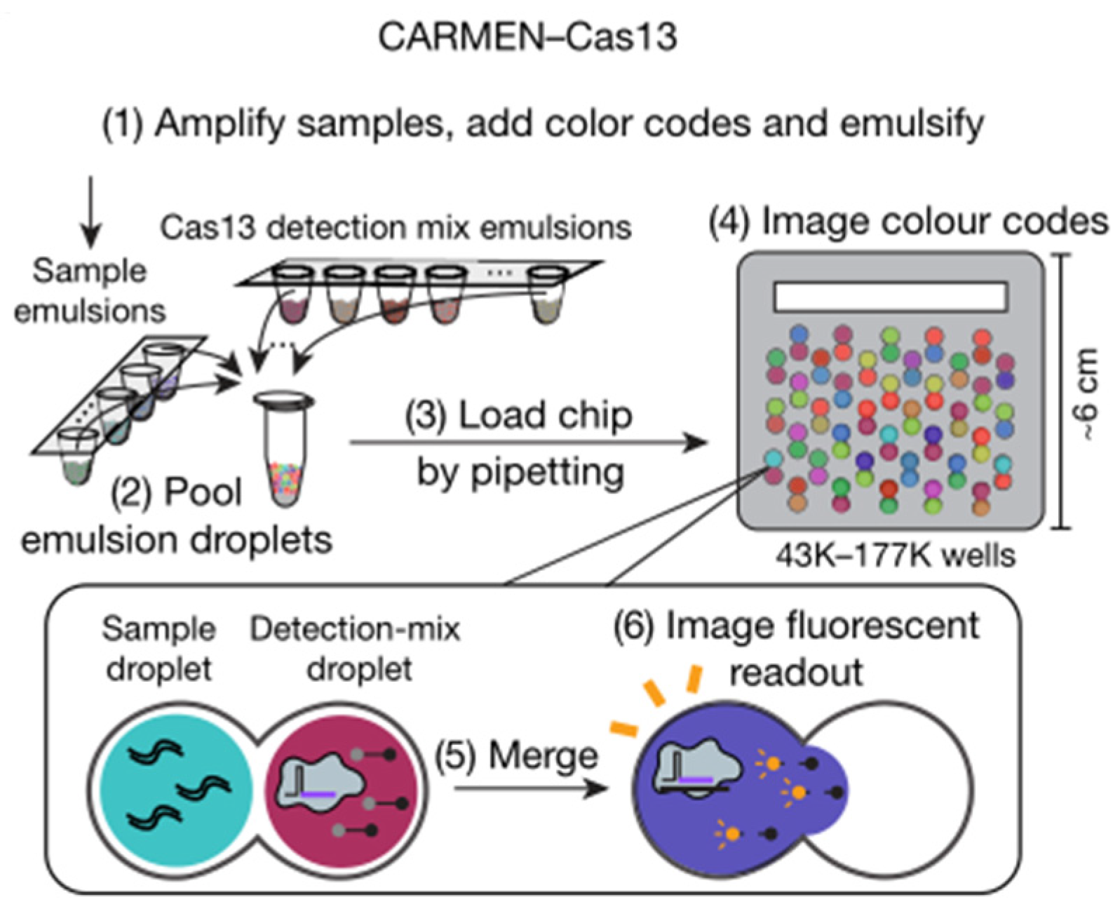 Fluorescence Signal-Readout of CRISPR/Cas Biosensors for Nucleic Acid ...