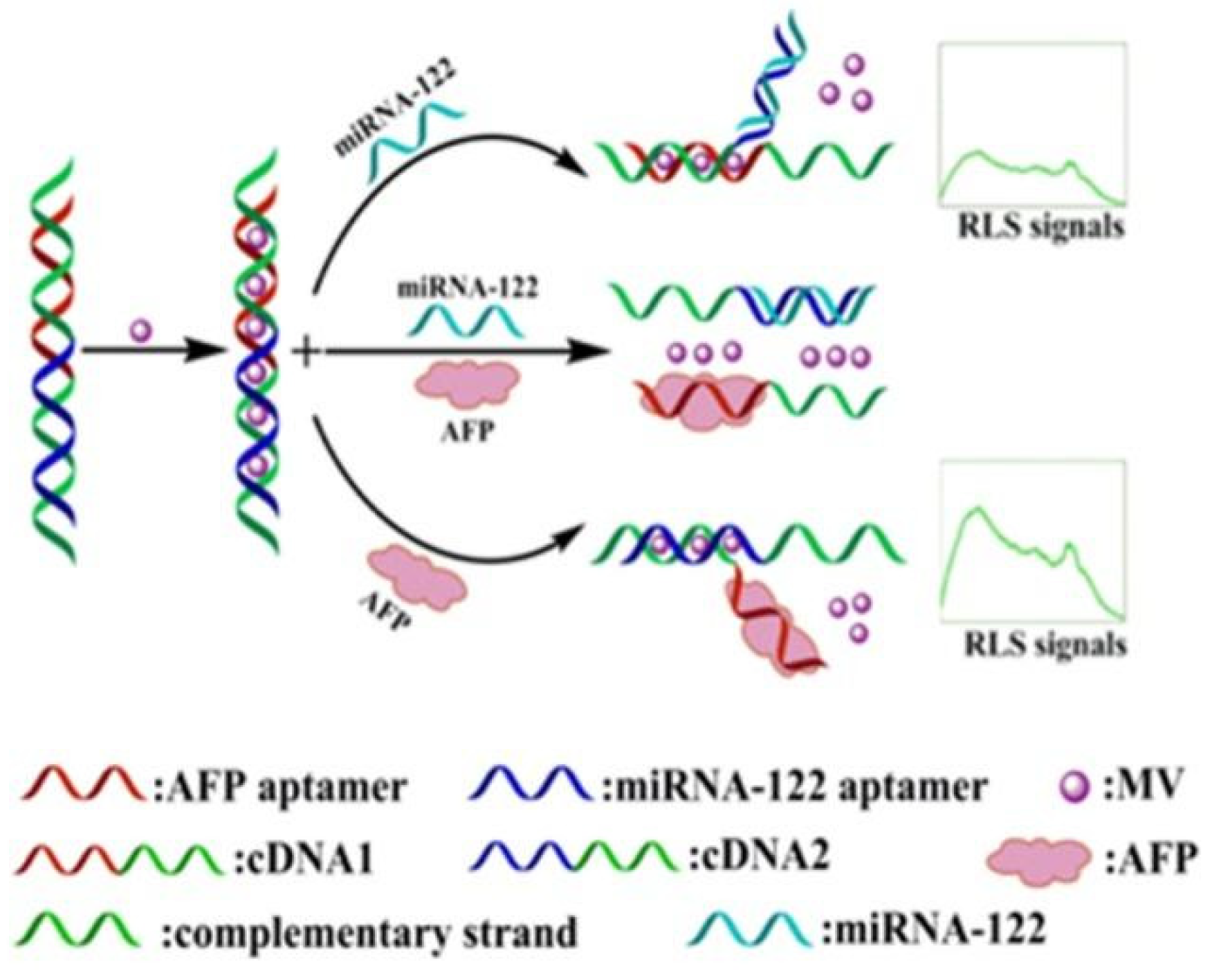 Biosensors Free Full Text Detection Of Alpha Fetoprotein Using