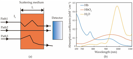Biosensors | Free Full-Text | A Smartphone-Based Biosensor for Non ...