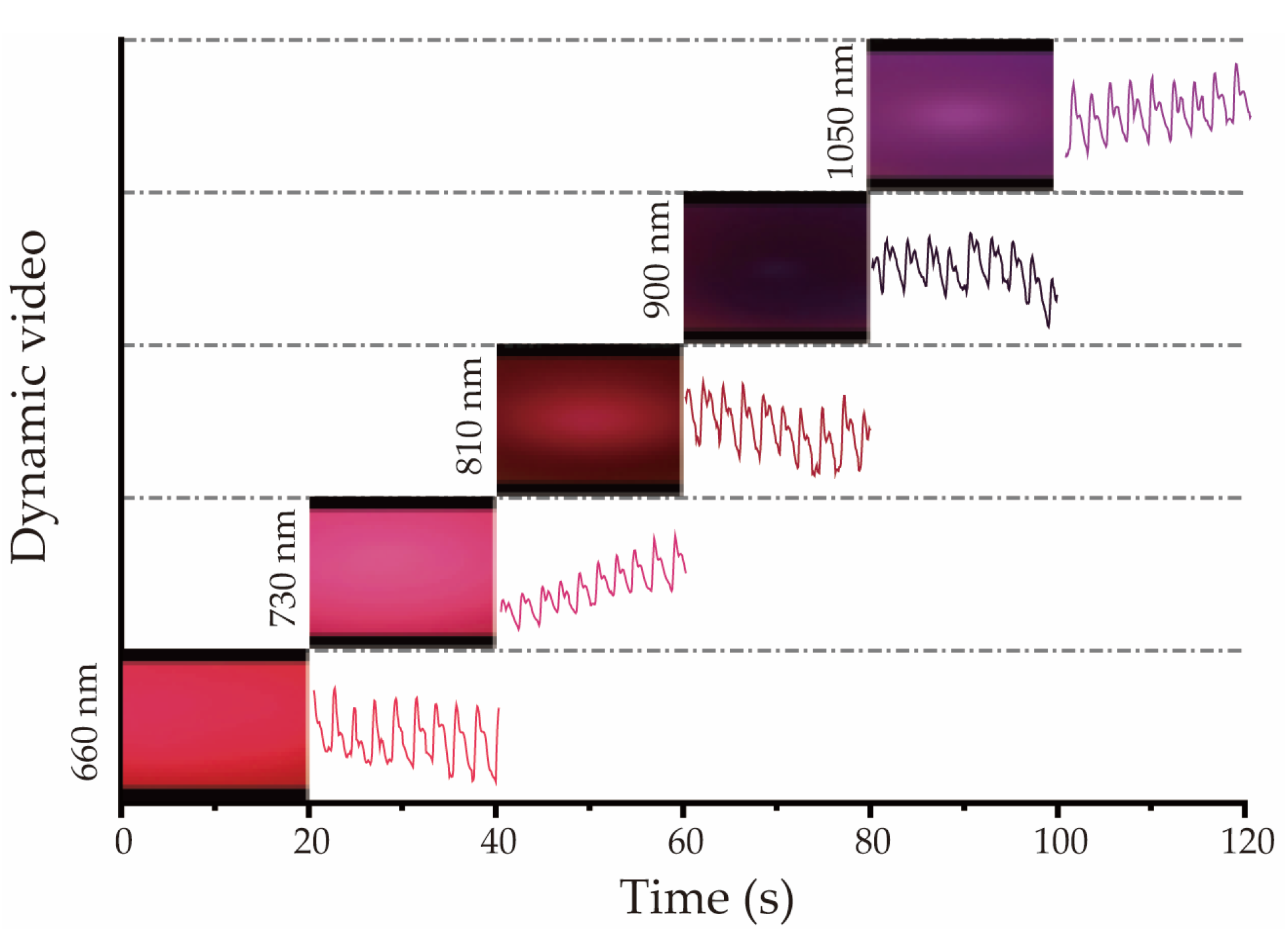 A Smartphone-Based Biosensor for Non-Invasive Monitoring of Total ...